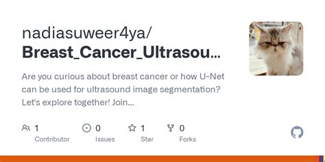 Github Nadiasuweer4yabreastcancerultrasoundimagesegmentation