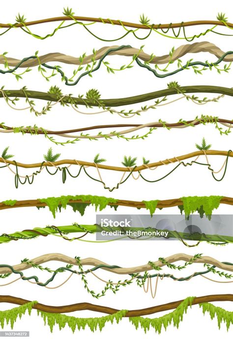 덩굴 식물 줄기 테두리 설정 열대 우림 녹색 덩굴 또는 나뭇 가지에 매달려있는 꼬인 식물 만화 정글 덩굴 나뭇가지 나뭇잎 나무에 이끼 벡터 격리 된 게임 풍경 요소 개체