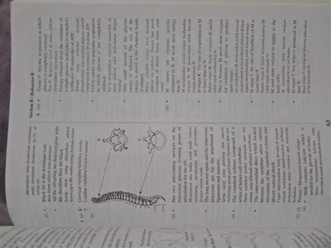 Kertas Soalan Spm Sebenar Hobbies And Toys Books And Magazines Textbooks On Carousell