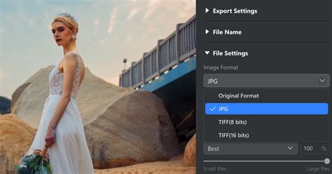 Effortless Free Raw To Jpeg Conversion Master Batch Editing With Evoto Ai