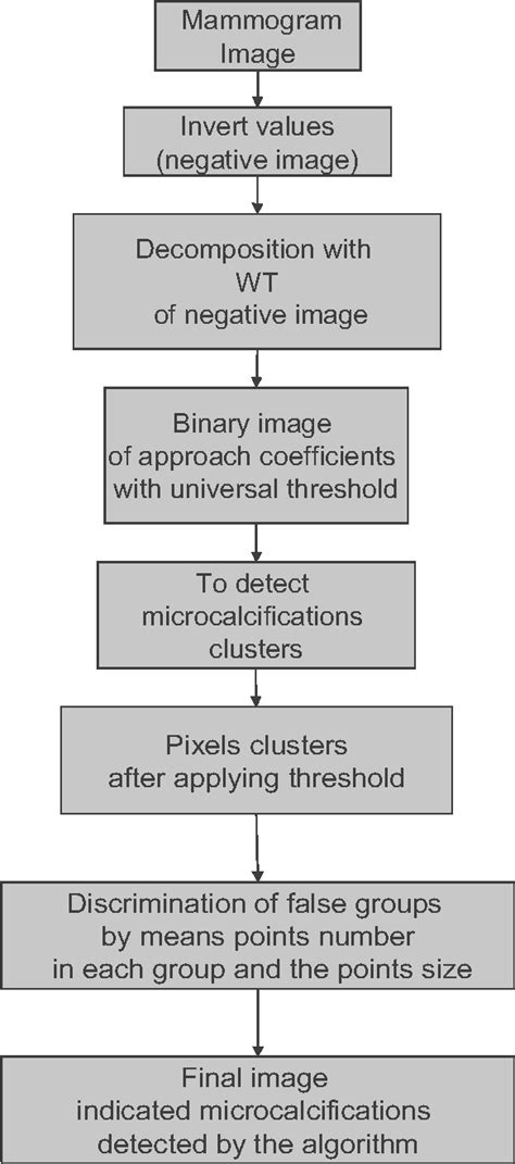 Figure 1 From Detection Of Microcalcifications In Digital Mammograms