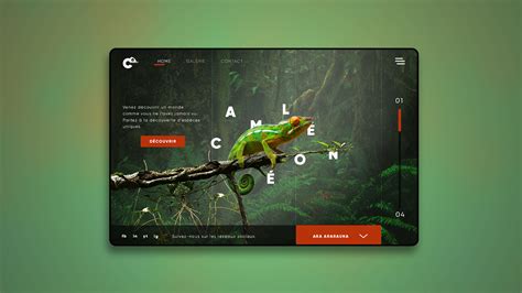 Chameleon Design On Behance
