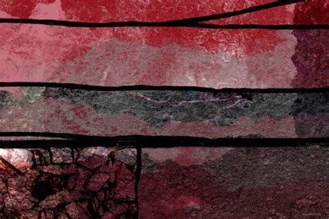 Maxwell Dickson Geophysics Modern Abstract Canvas Art Print Artwork