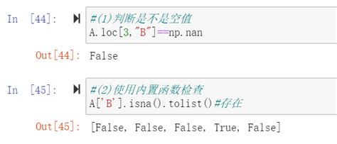 Python 数据类型转换与空值处理 Lgrun 博客园