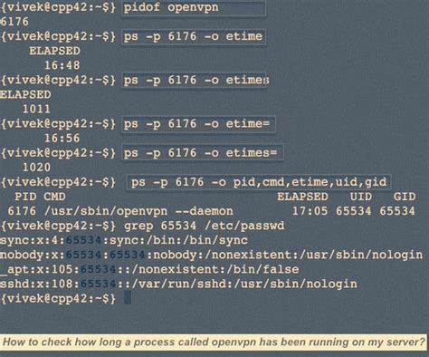 Linux How Long A Process Has Been Running Nixcraft