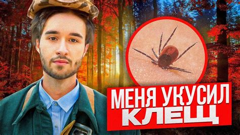 КОРЕША УКУСИЛ КЛЕЩ и УДАЛИЛ ЕГО ЗА 23.000 РУБЛЕЙ / КОРЕШ МОГ УМЕРЕТЬ ОТ ...