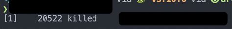 Patching Address On AArch Mach O Binary Makes Bad Executable Binary Issue Lief