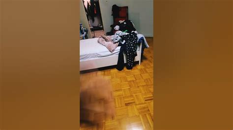 Idc Youtube Idc Youtube