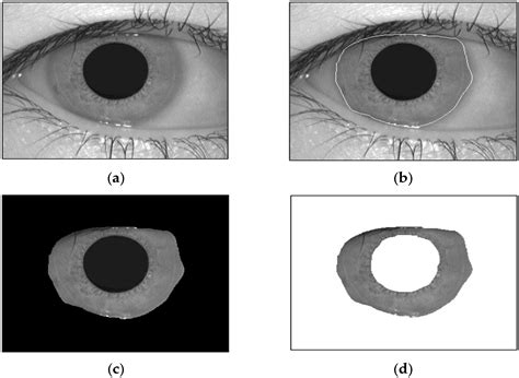 Iris Recognition System Using Advanced Segmentation Techniques and Fuzzy Clustering Methods for ...