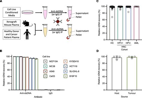 Cell Free Ndna Is Mostly Unprotected From Dna Ip Across Multiple Cancer
