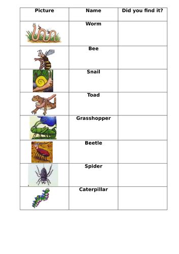 Superworm Bug Hunt Teaching Resources
