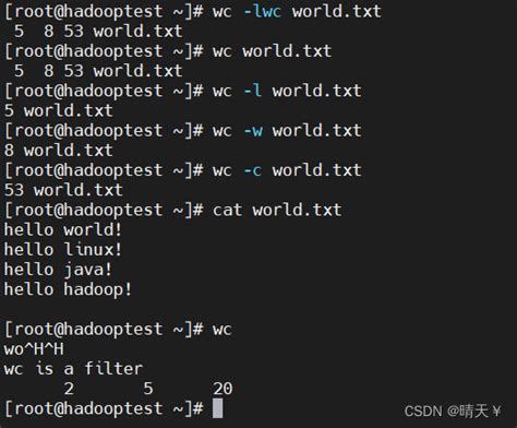 Linux 了解linux中输入输出设备文件，过滤器和管道 Linux 管道输出 文件 Csdn博客