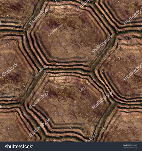 Turtle Shell Seamless Texture Means You Stock Illustration