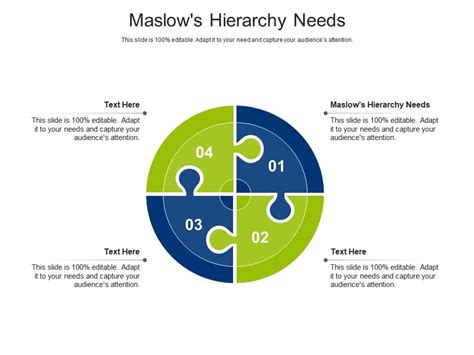 Maslows Hierarchy Needs Ppt Powerpoint Presentation Professional Sample Cpb Presentation