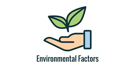 Best Strategies For Deploying HPE Networking Instant On Switches