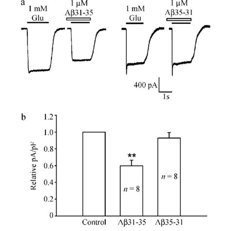 Generation Of Mice Deficient For C Fos In The Nervous System A
