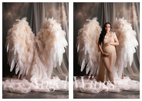 Angel Wings Floof Digital Background Lsp Actions By Lemon Sky