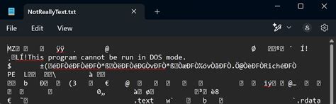 Guidelines For Secure Filename Display Textplain