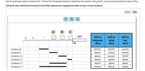 solved use the expression data for constructs 8 13 from