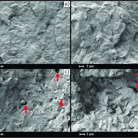 Scanning Electron Microscopy SEM Images Of A PCL B PCL GR C Download Scientific