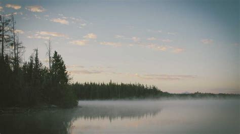 Domina Git Desde El Primer Proyecto Tu Clave Para Éxito En El Desarrollo Pablotheblink