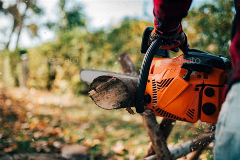 Cutting Tree Trunk With Chainsaw Copy Space Stock Photo By Bnenin