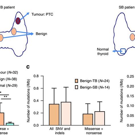 Putative Functional Somatic Mutations In Thyroid Tissues A
