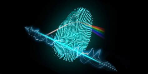 How Do Fingerprint Scanners Work Make Tech Easier