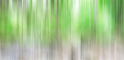 Motion Blur Of Trees And Rocks In Forest Stock Image Image Of Nature
