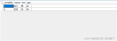 c 组装datatab并通过for循环取值 c 循环datatable csdn博客