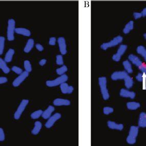 Structure Of A Quantum Dot Download Scientific Diagram