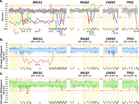 The Panel A Show Results Of Cnv Analysis Revealing Large Deletions Or