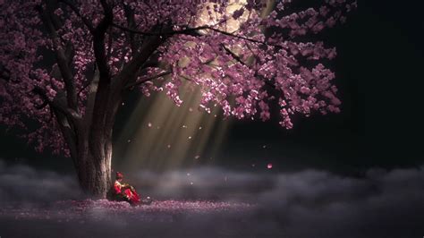 Chinese Tree Wallpapers Top Free Chinese Tree Backgrounds