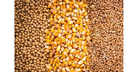 Спад в цените на агростоките Български Фермер