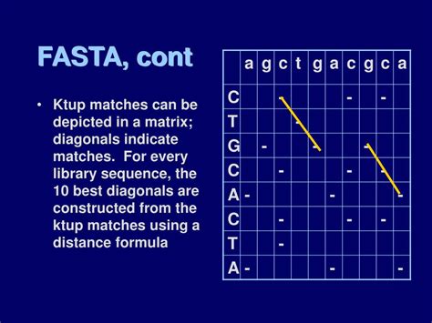 Ppt Database Searchingblast And Fasta Powerpoint Presentation Free Download Id851315