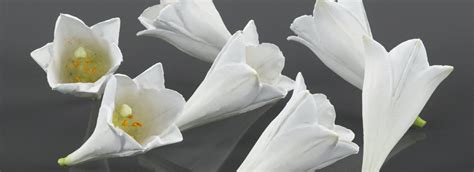 White Lily FlippedNormals