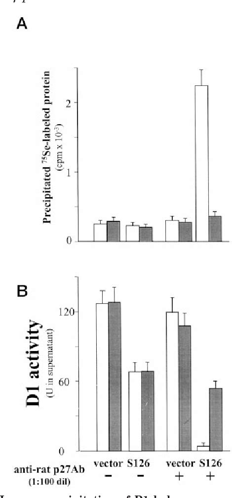 Figure 3 From Characterization Of The Subunit Structure Of The