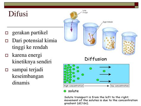 DIFUSI Oleh Saidatul Idiyah Ppt Download