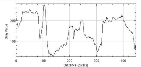 A Gray Image Intensity Plot Download Scientific Diagram