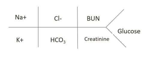 Lab Med BMP Flashcards Quizlet Lab Med BMP Flashcards Quizlet