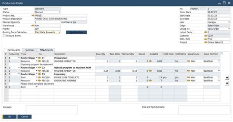 E Commerce Order Processing In SAP B1 Sample Scenario
