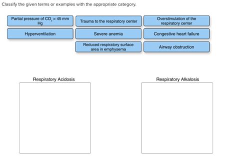 solved classify the given terms or examples with the