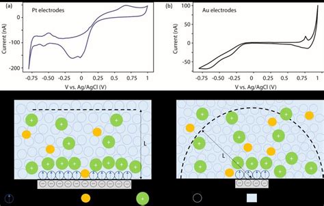 Cyclic Voltammetry And Diffusion Model Of Pt And Au Electrodes A Download Scientific Diagram