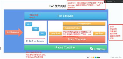 k8s pod的生命周期 csdn博客