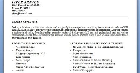 Senior Programme Analyst Sample Resume Format In Word Free Download