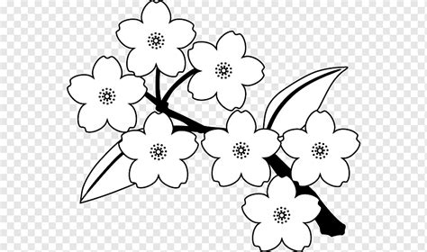 Black And White Cherry Blossom Clipart