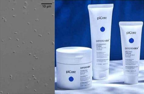 해양미생물 원료 ‘화장품 상용화에 첫 성공