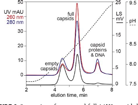 Figure 1 From Separation Of Empty And Full Adeno Associated Virus Capsids From A Weak Anion