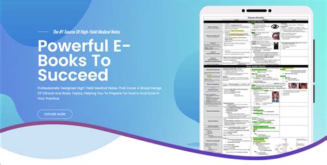 Osmosis From Elsevier This Weeks Anatomy Illustration Of Typical
