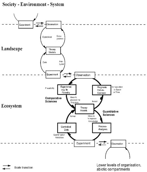 Experiments On Higher Integration Levels Can Be Related To Observations Experiments On Higher Integration Levels Can Be Related To Observations